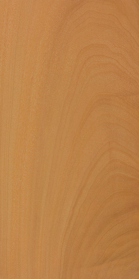 Peroba rosa Wood - Properties, Uses & Pricing | ForestSource